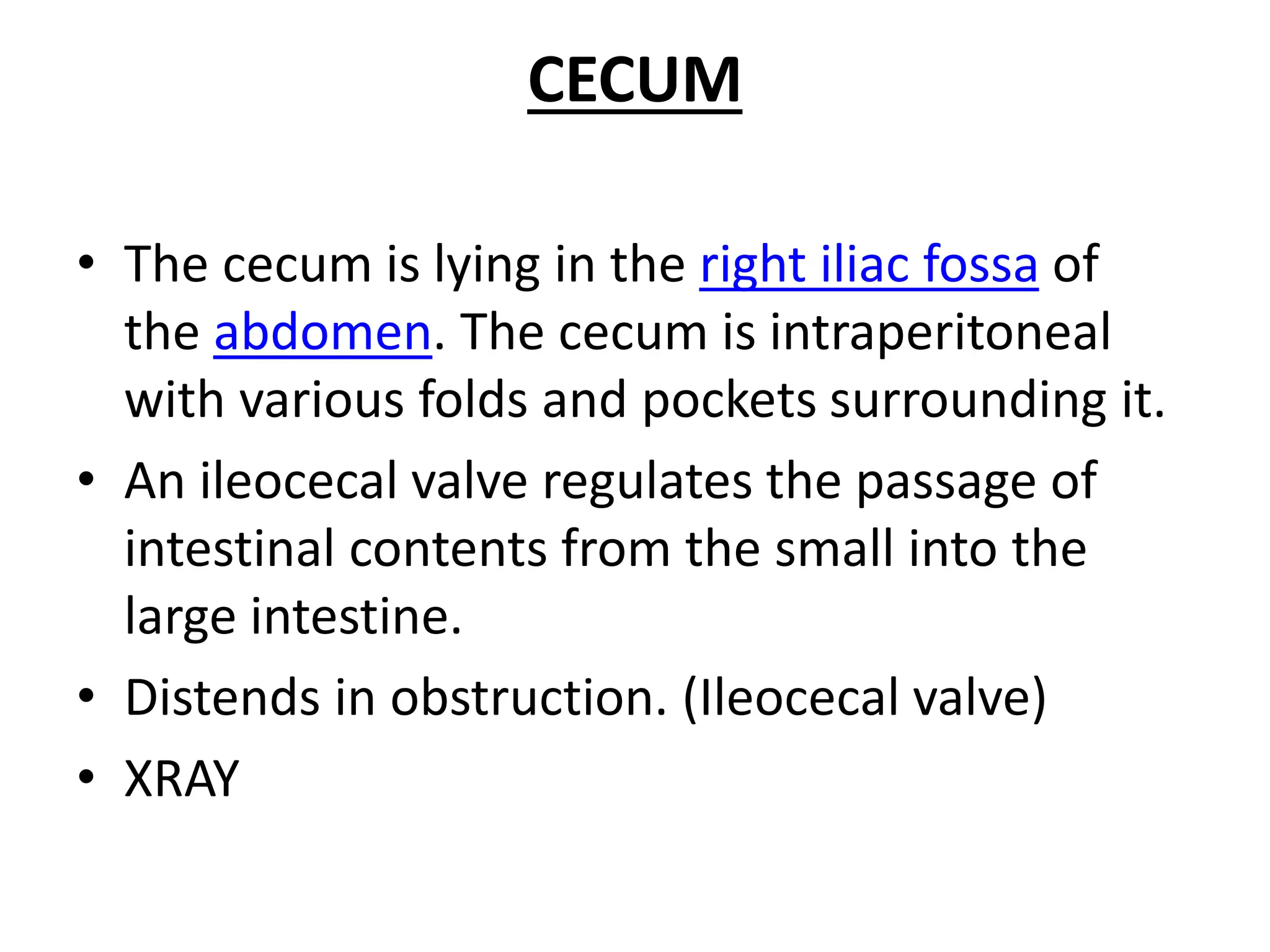 Anatomy of small and large Bowel PPT.pptx