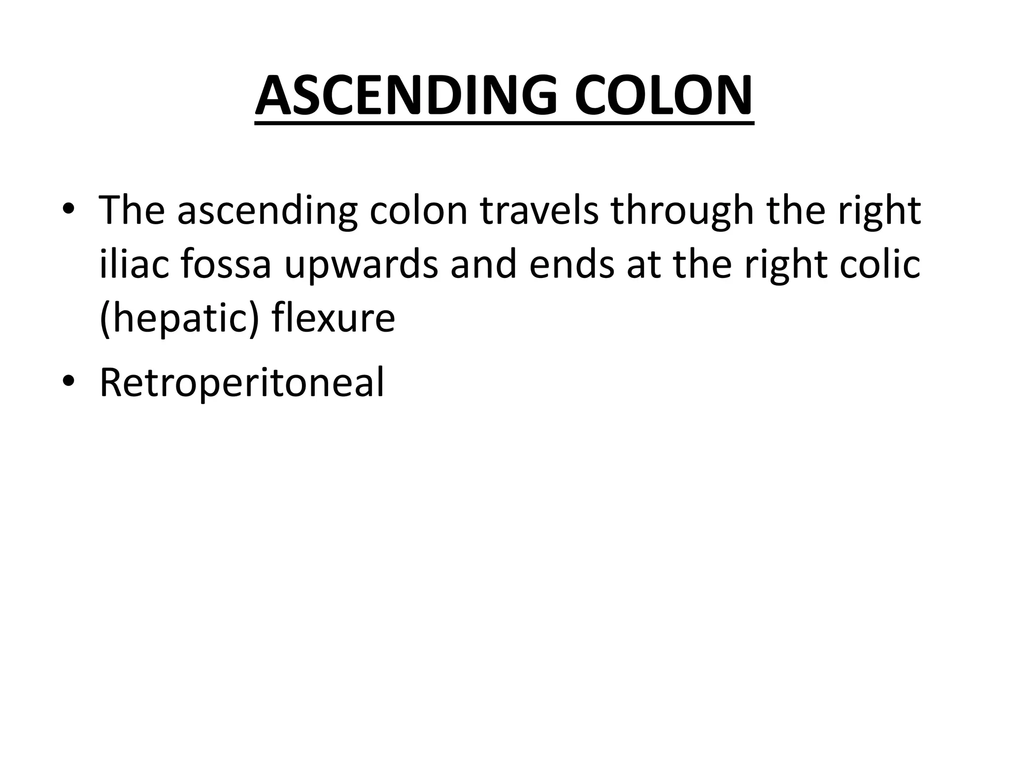Anatomy of small and large Bowel PPT.pptx