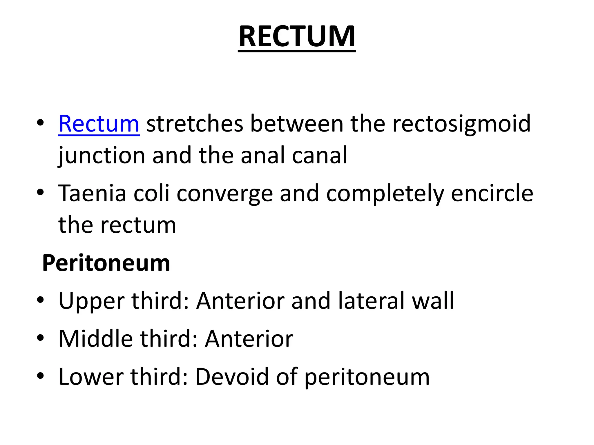 Anatomy of small and large Bowel PPT.pptx