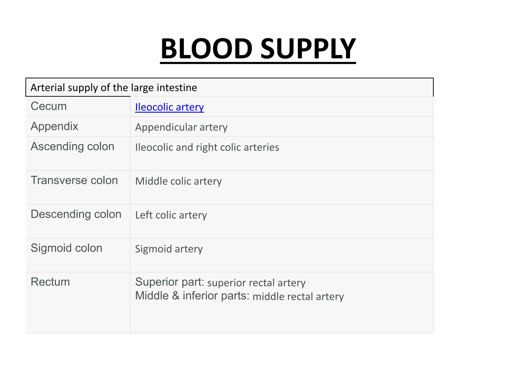 Anatomy of small and large Bowel PPT.pptx