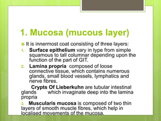 small and large intestine.pptx