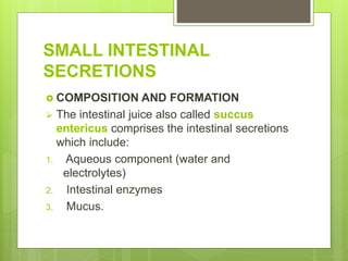small and large intestine.pptx