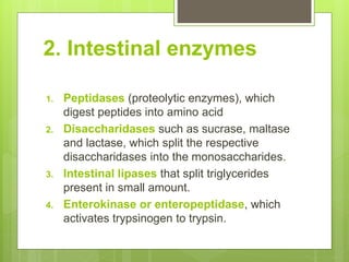 small and large intestine.pptx