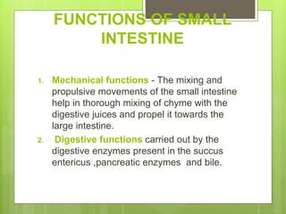 small and large intestine.pptx
