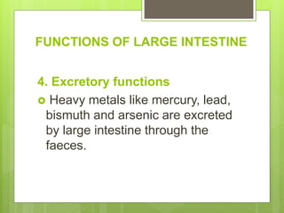 small and large intestine.pptx