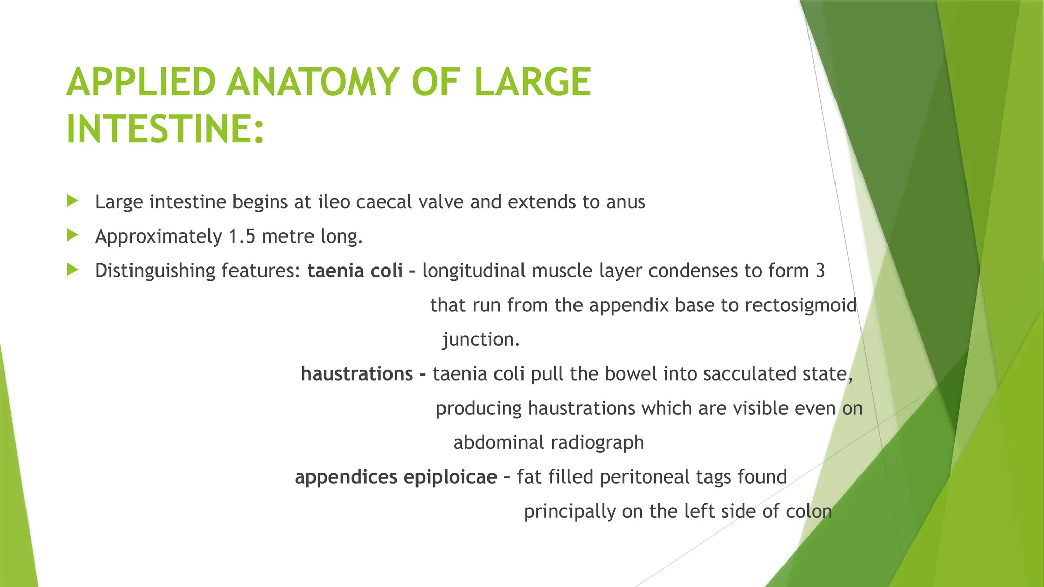 small and large intestine applied anatomy.pptx