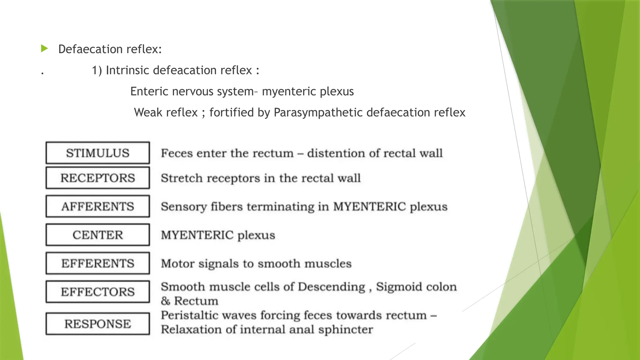 small and large intestine applied anatomy.pptx