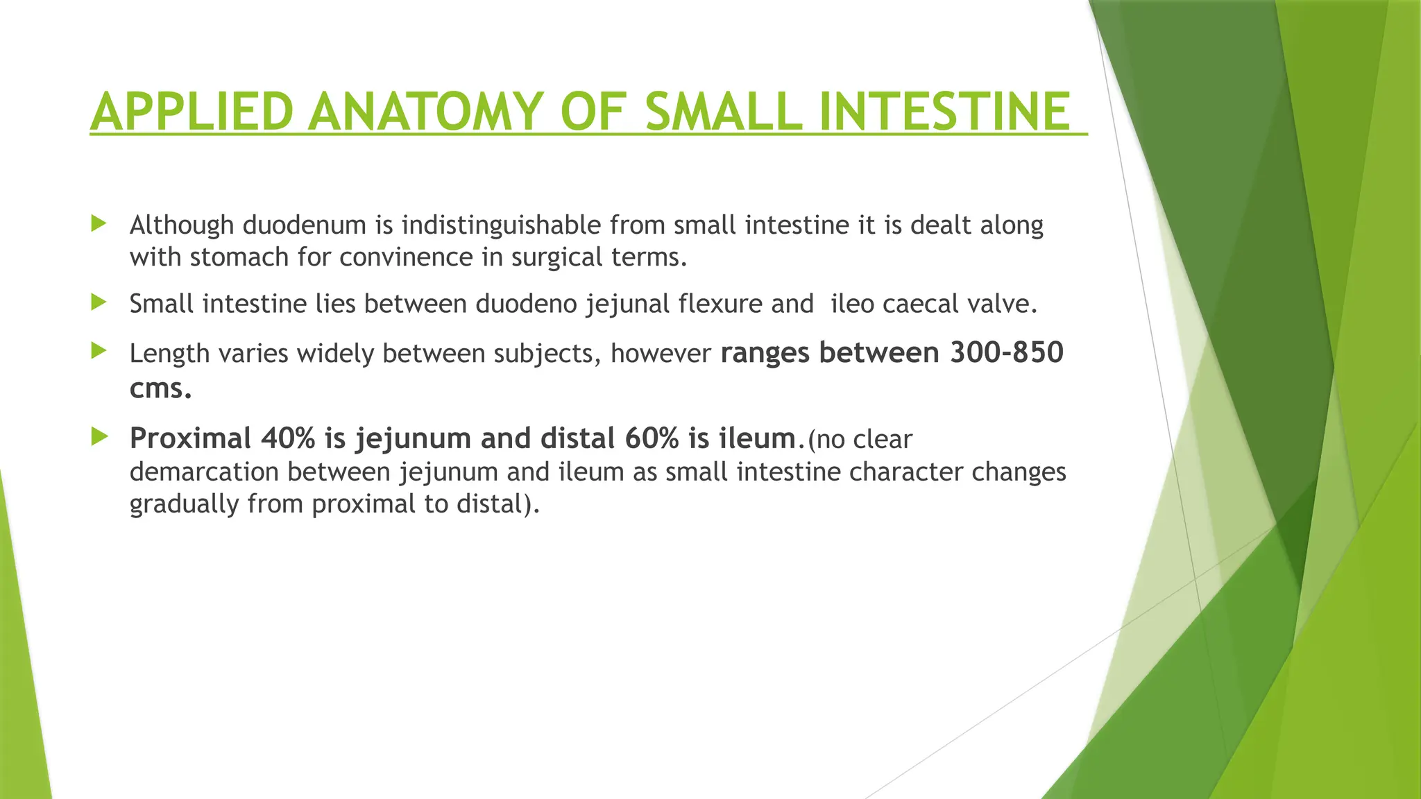 small and large intestine applied anatomy.pptx