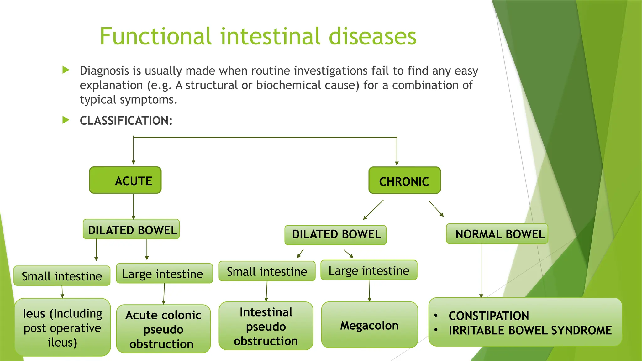 small and large intestine applied anatomy.pptx