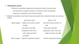 small and large intestine applied anatomy.pptx