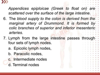 small andn large inststine.pptx