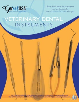 GermedUSA Small animal dental instruments | PDF