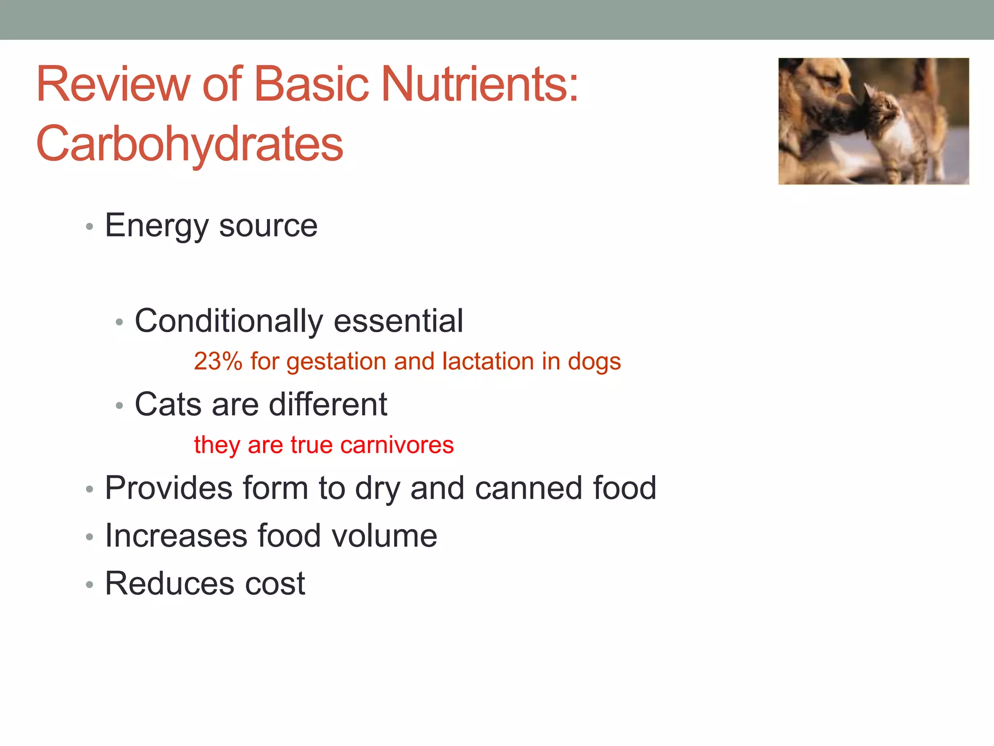 Small animal nutrition dogs and cats | PPTX