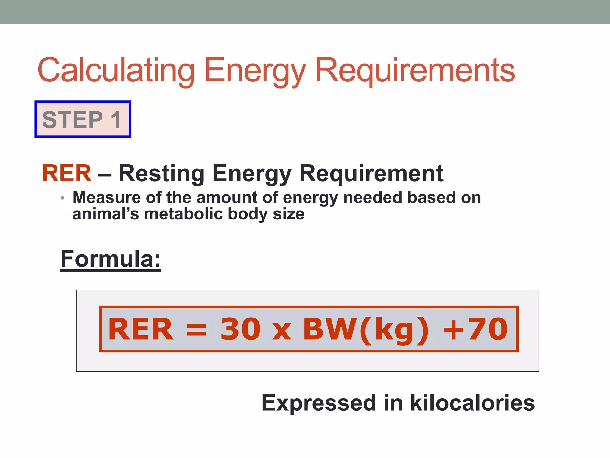 Small animal nutrition dogs and cats | PPTX