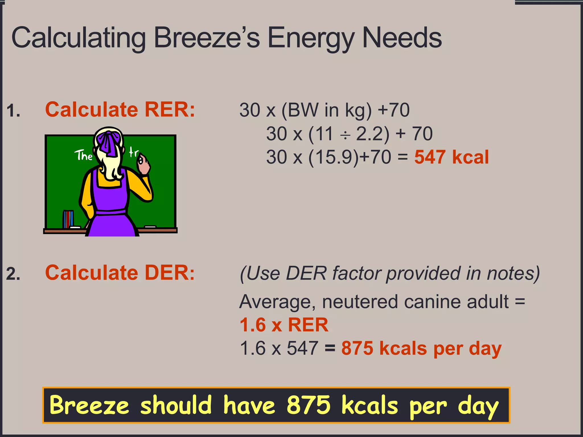 Small animal nutrition dogs and cats | PPTX