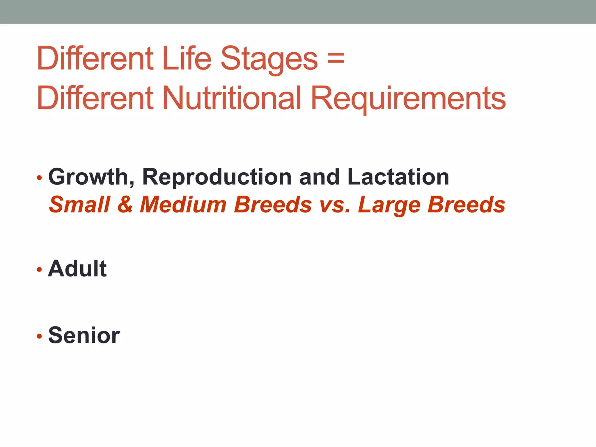 Small animal nutrition dogs and cats | PPTX