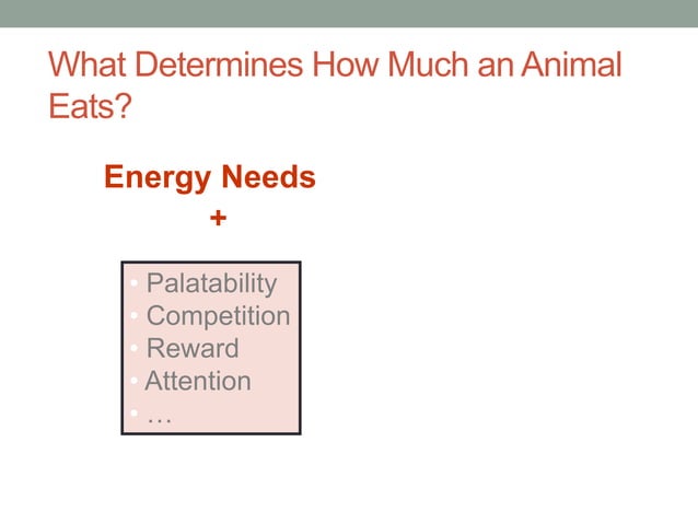 Small animal nutrition dogs and cats | PPTX