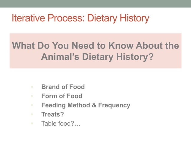 Small animal nutrition dogs and cats | PPTX