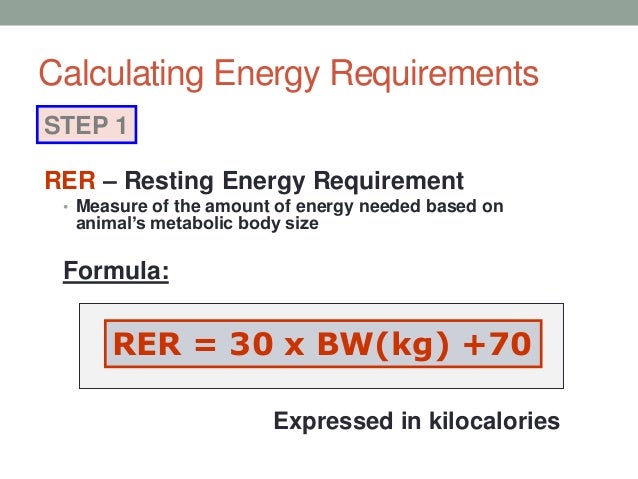 Small animal nutrition dogs and cats