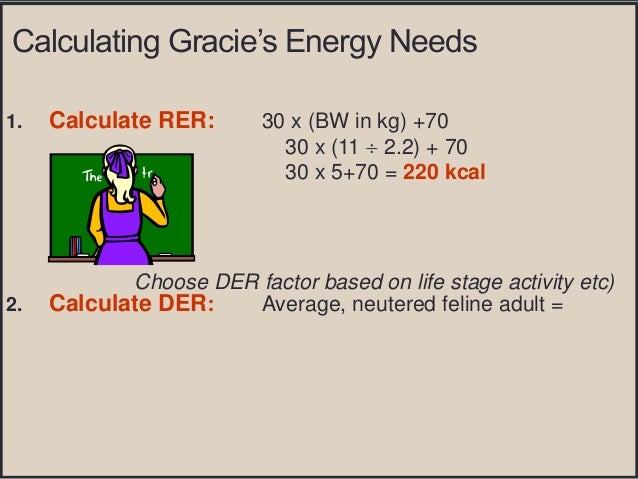 Small animal nutrition dogs and cats