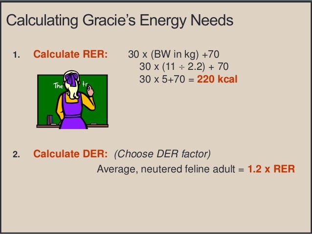 Small animal nutrition dogs and cats