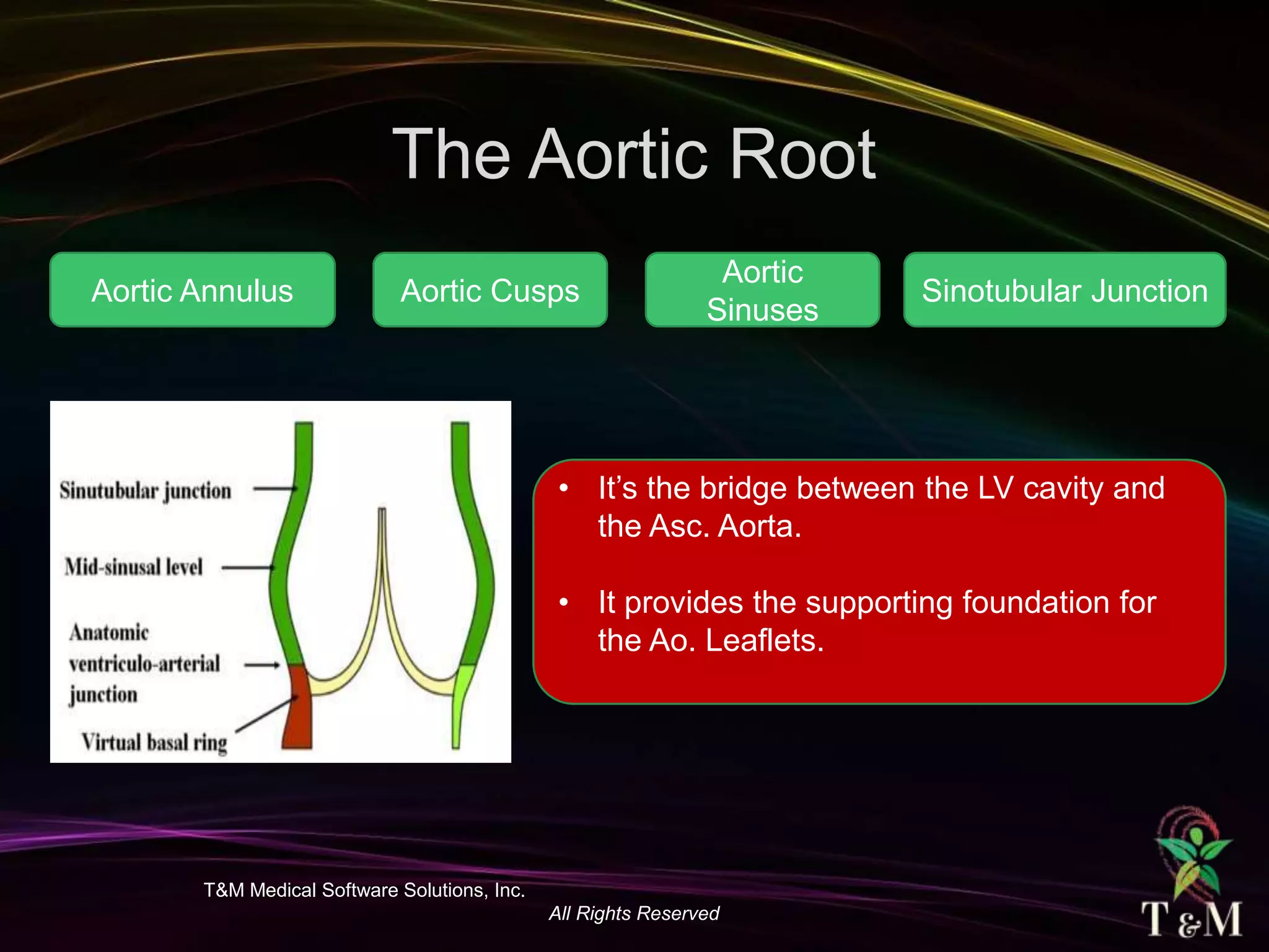 Small aortic root | PPTX