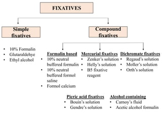 Small biopsy fixatives and their applications | PPT
