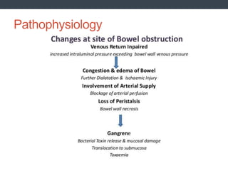 Small bowel obstruction | PPTX