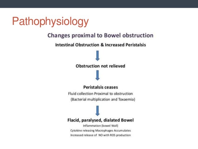 Small bowel obstruction