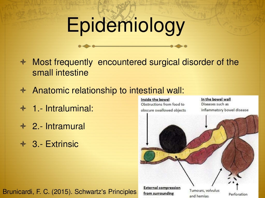 Small bowel obstruction and Intestinal Fistulas