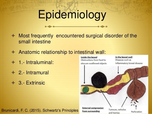 Small bowel obstruction and Intestinal Fistulas