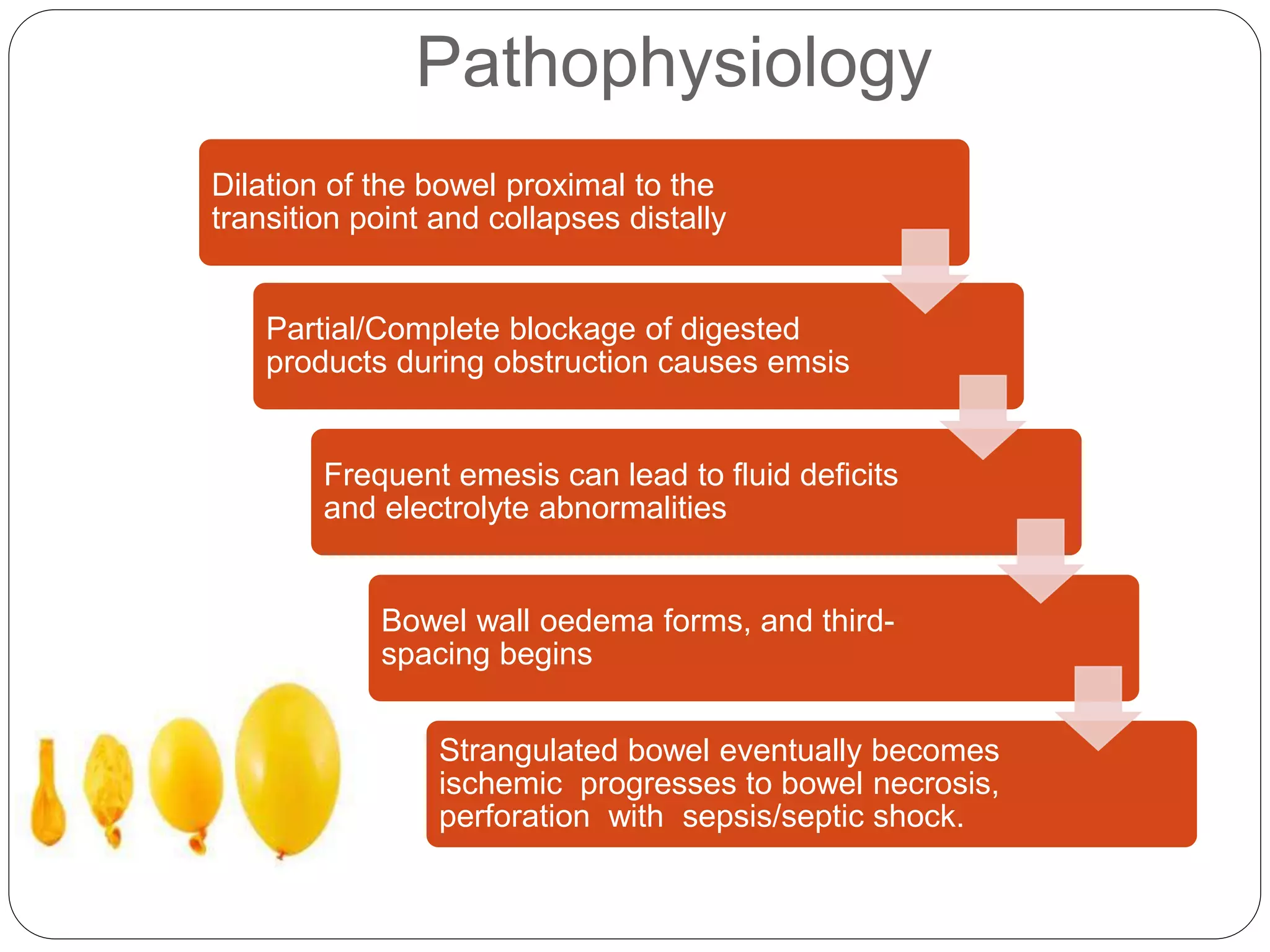 Small Bowel obstruction presentation.pptx
