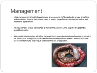 Small Bowel obstruction presentation.pptx
