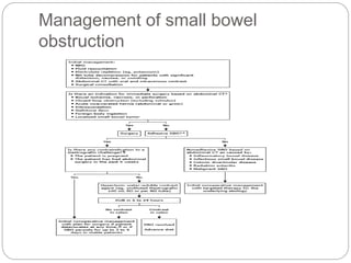 Small Bowel obstruction presentation.pptx