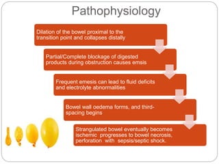 Small Bowel obstruction presentation.pptx