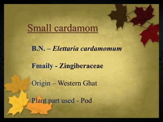 Small cardamom | PPTX