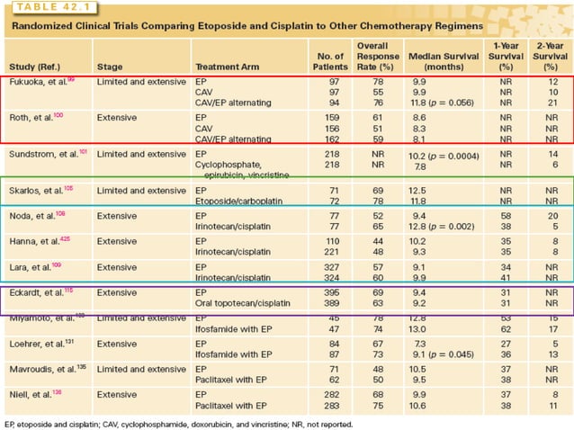 Small cell ca lung | PPT