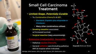 Small Cell Carcinoma – A Pathologic Survey | PDF | Lung and Respiratory ...