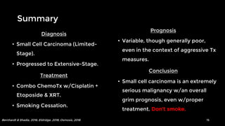 Small Cell Carcinoma – A Pathologic Survey | PDF | Lung and Respiratory ...