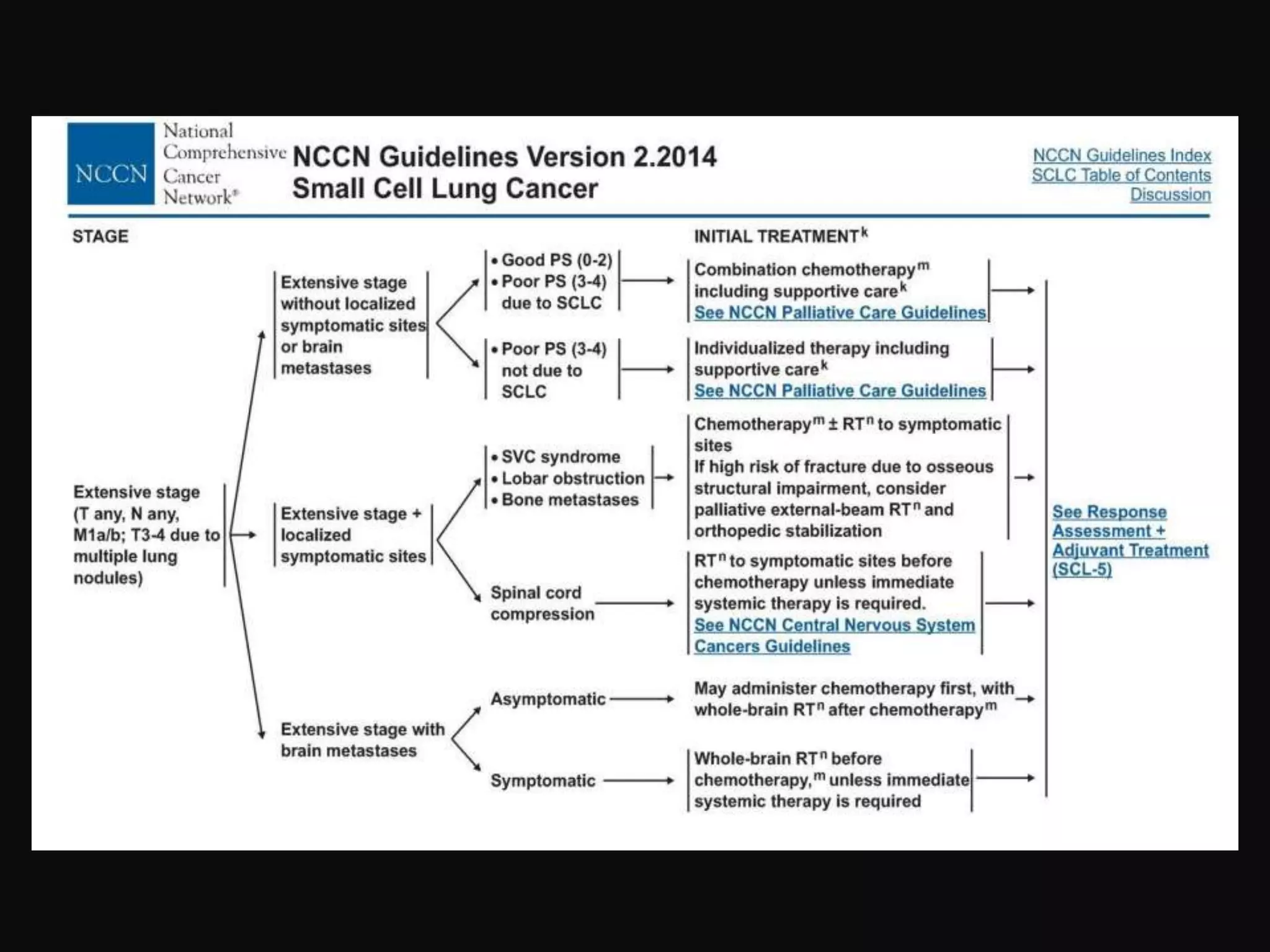 Small cell lung cancer | PDF
