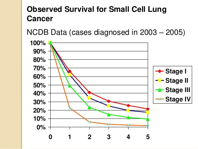 Small Cell Lung Cancer