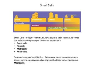 Small cells | PPT