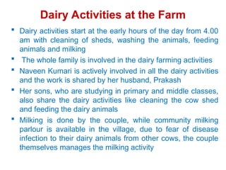 Small Dairy Farming Case Study documneation | PPT