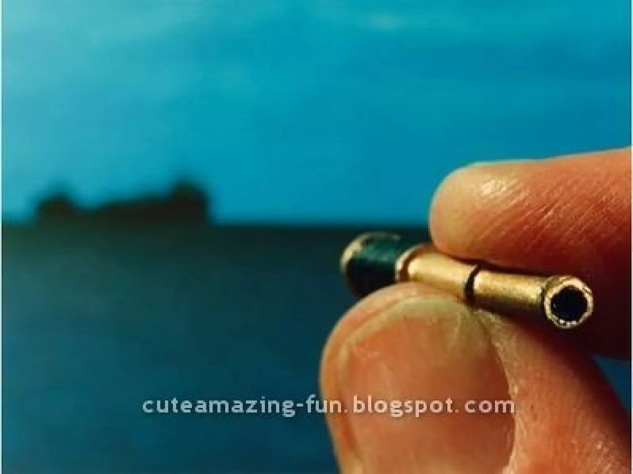 Smallest Things Of World | PPT