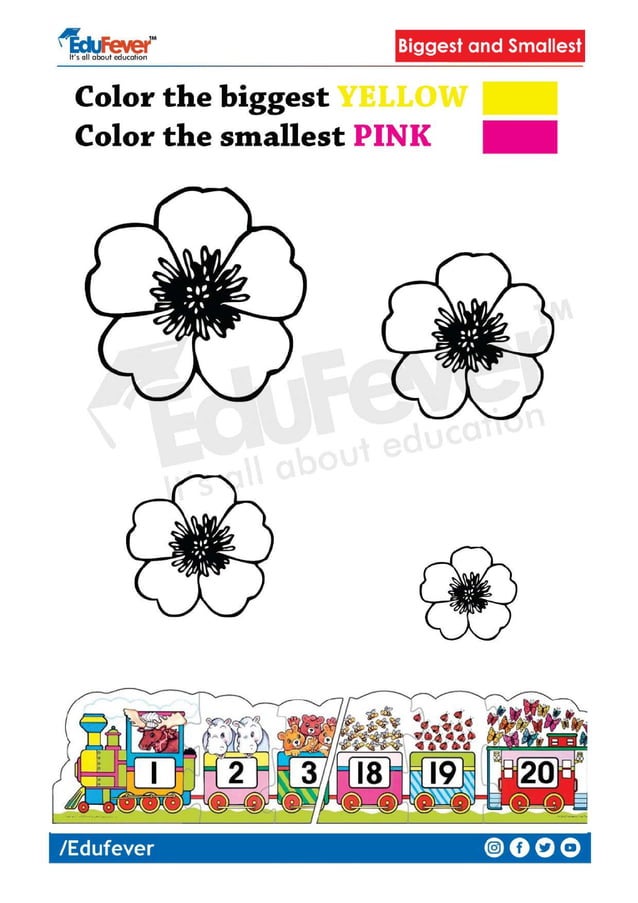 Smallest and biggest - LKG Worksheet | PDF