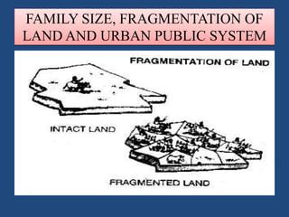 Small family norm - Community Health Nursing | PPTX
