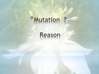 Small group discussion techniques | PPTX