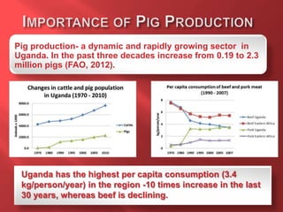 Smallholder pig value chain R4D projects in Uganda | PPTX