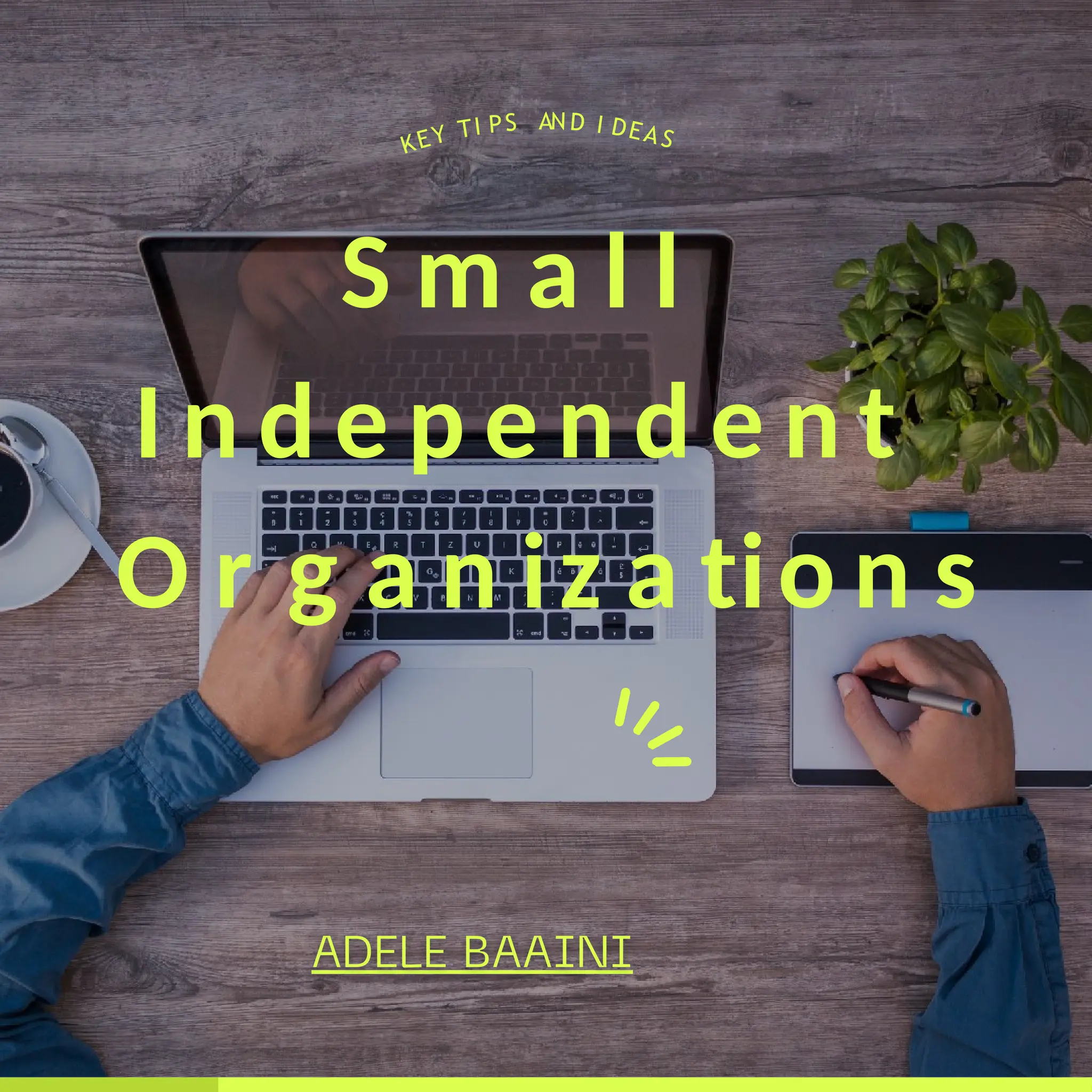 Small Independent Organizations | Adele Baaini | PPTX