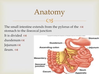Small intestin.pptxssu | PPT